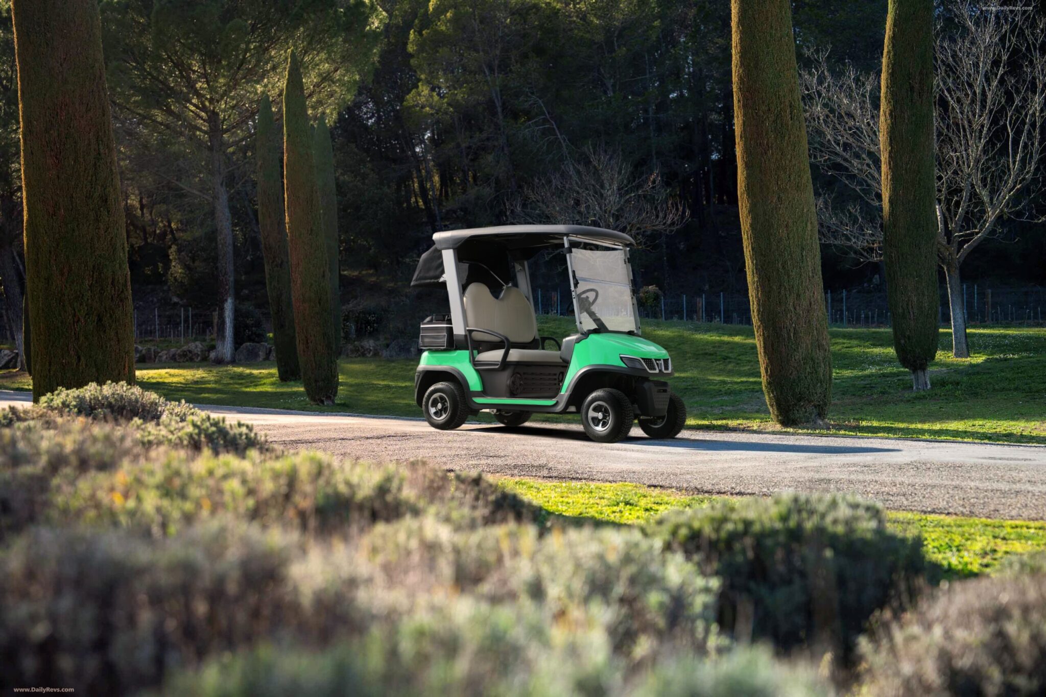 Best Golf Carts 2026: Top Brands, Features & Trends | Electric Golf ...