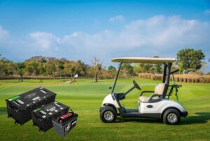 What Kind Of Battery Does The Evolution Golf Cart Use? | Electric Golf ...