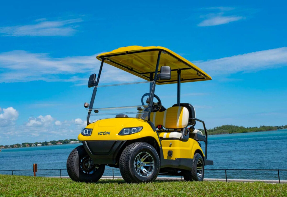 ICON Golf Cart Battery Guide: What Type Does It Use And Best ...